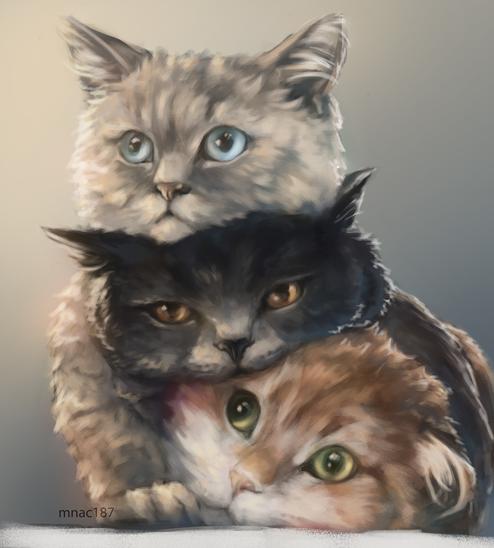ArtStation - Cats study