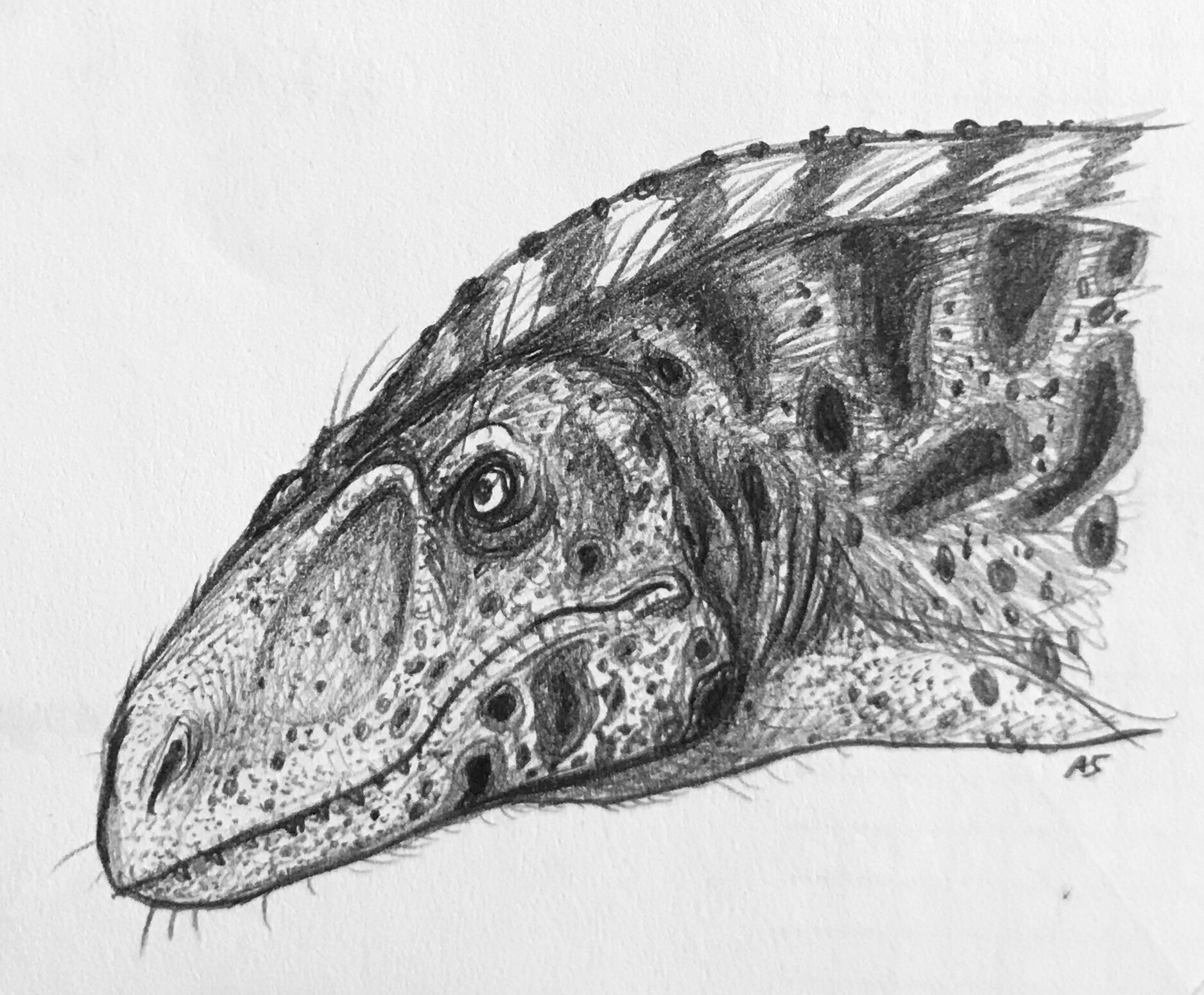 ArtStation - Acrocanthosaurus