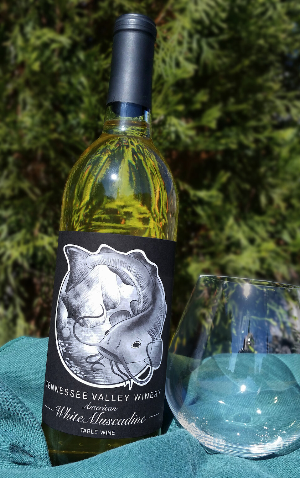 Laura Lester - Wine Label Redesign