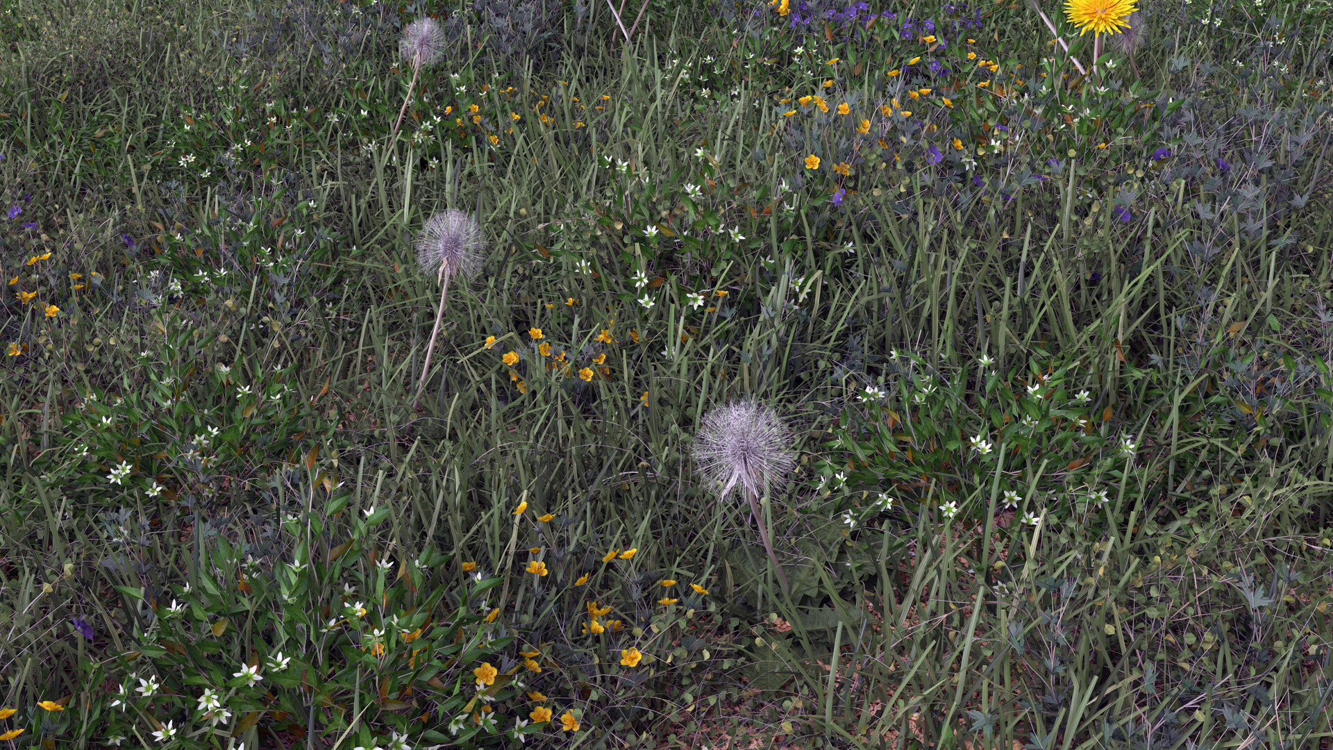 ArtStation - Stones and Grass (Forest Pack)