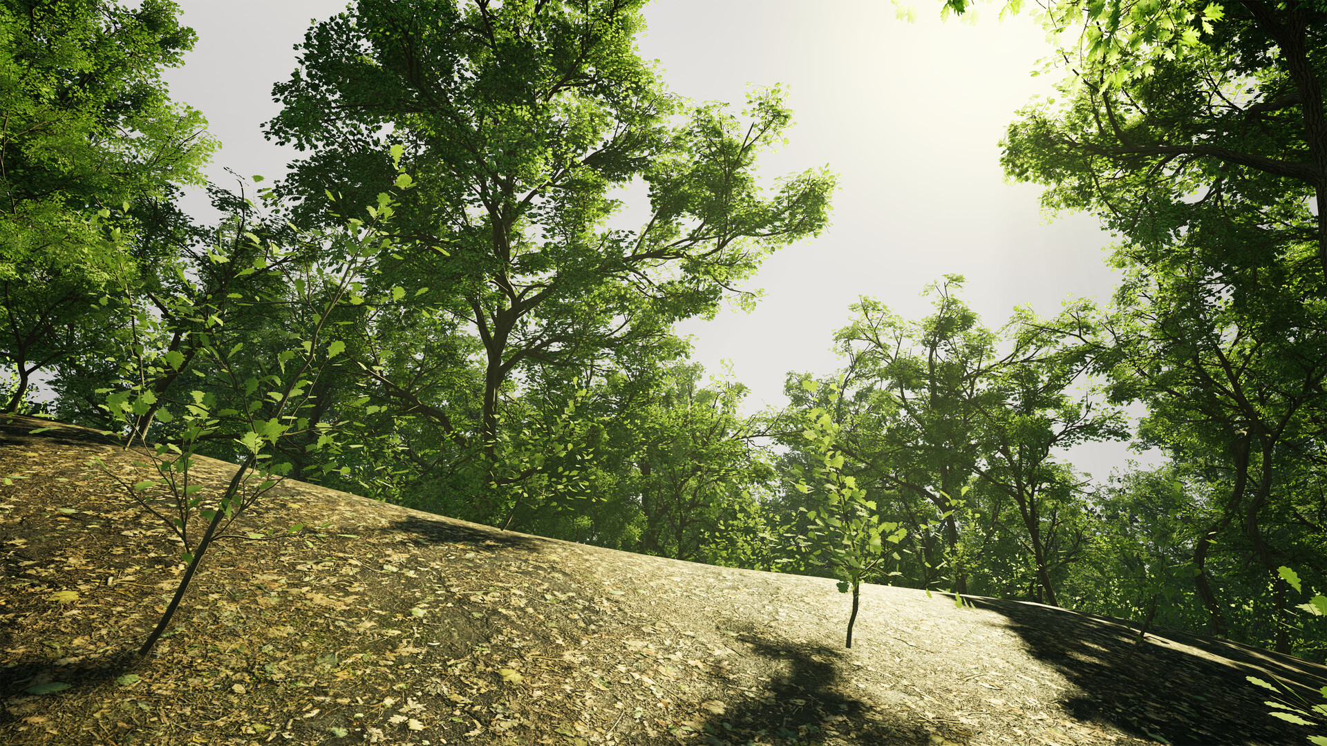 Benjamin Koch - Trees and Shrubs Pack - Unreal Engine 4