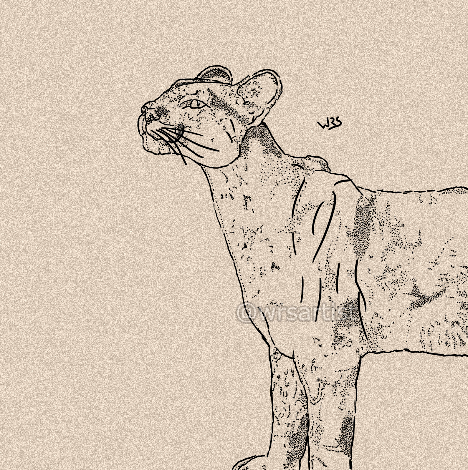 ArtStation - brazilian animals