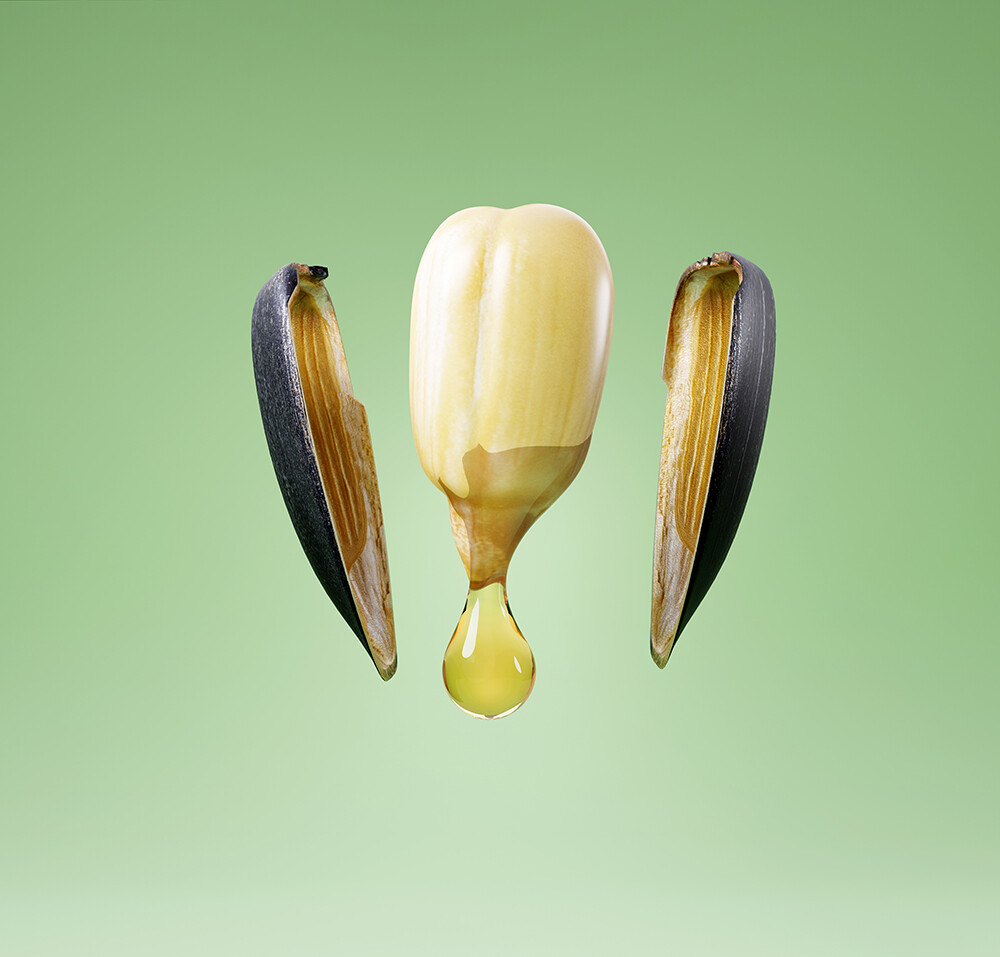ArtStation - Cracked sunflower seed with oil drop