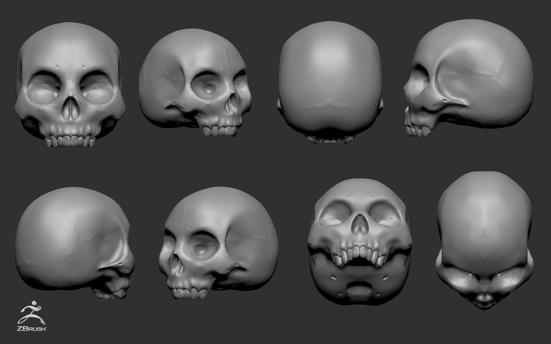 ArtStation - Zbrush Skull Sculpt