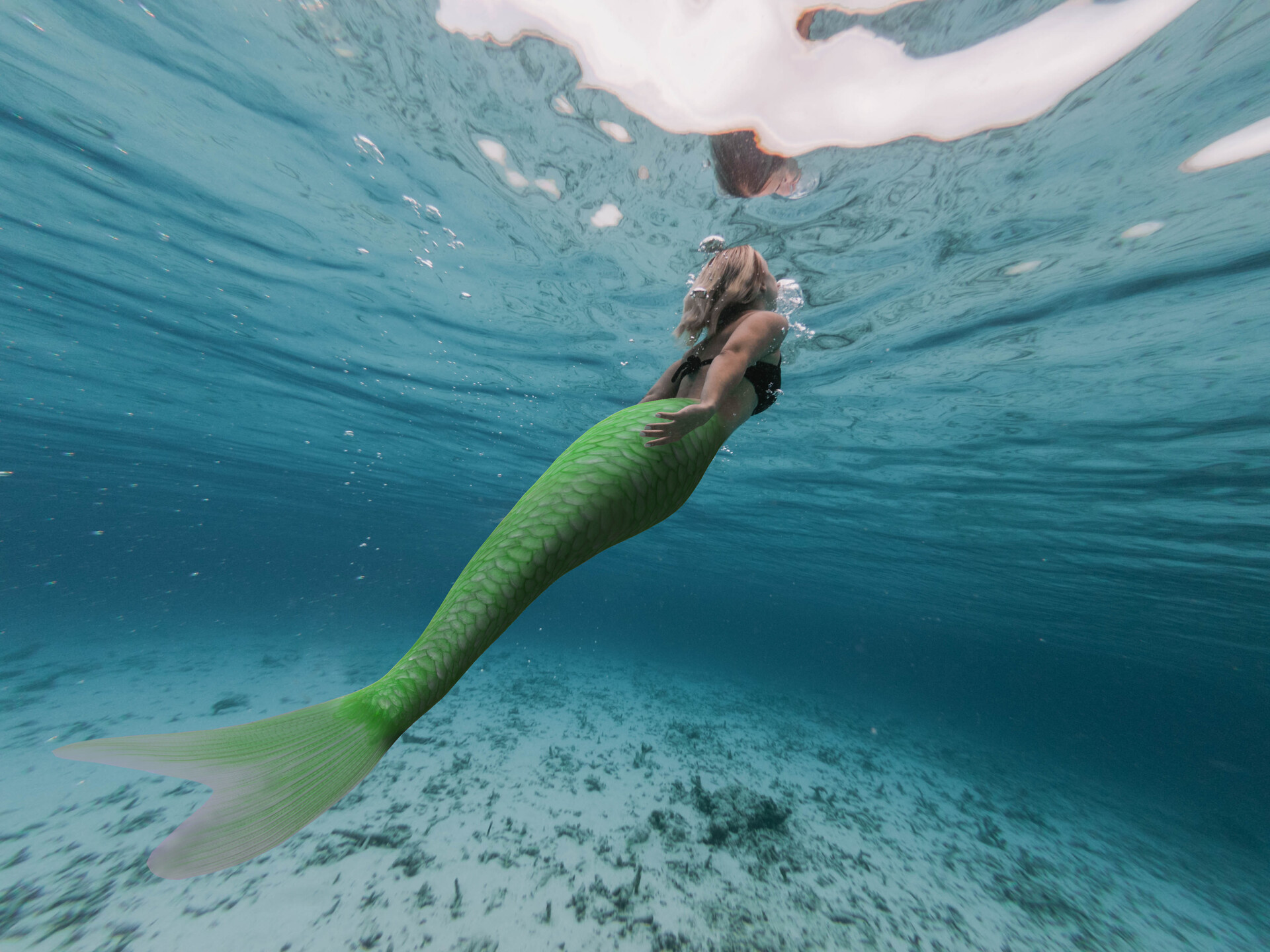 ArtStation - Mermaid diving