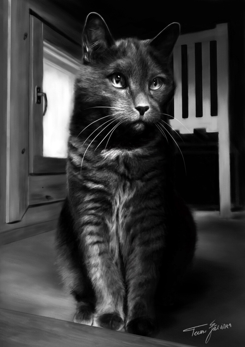 ArtStation - Cat Portrait