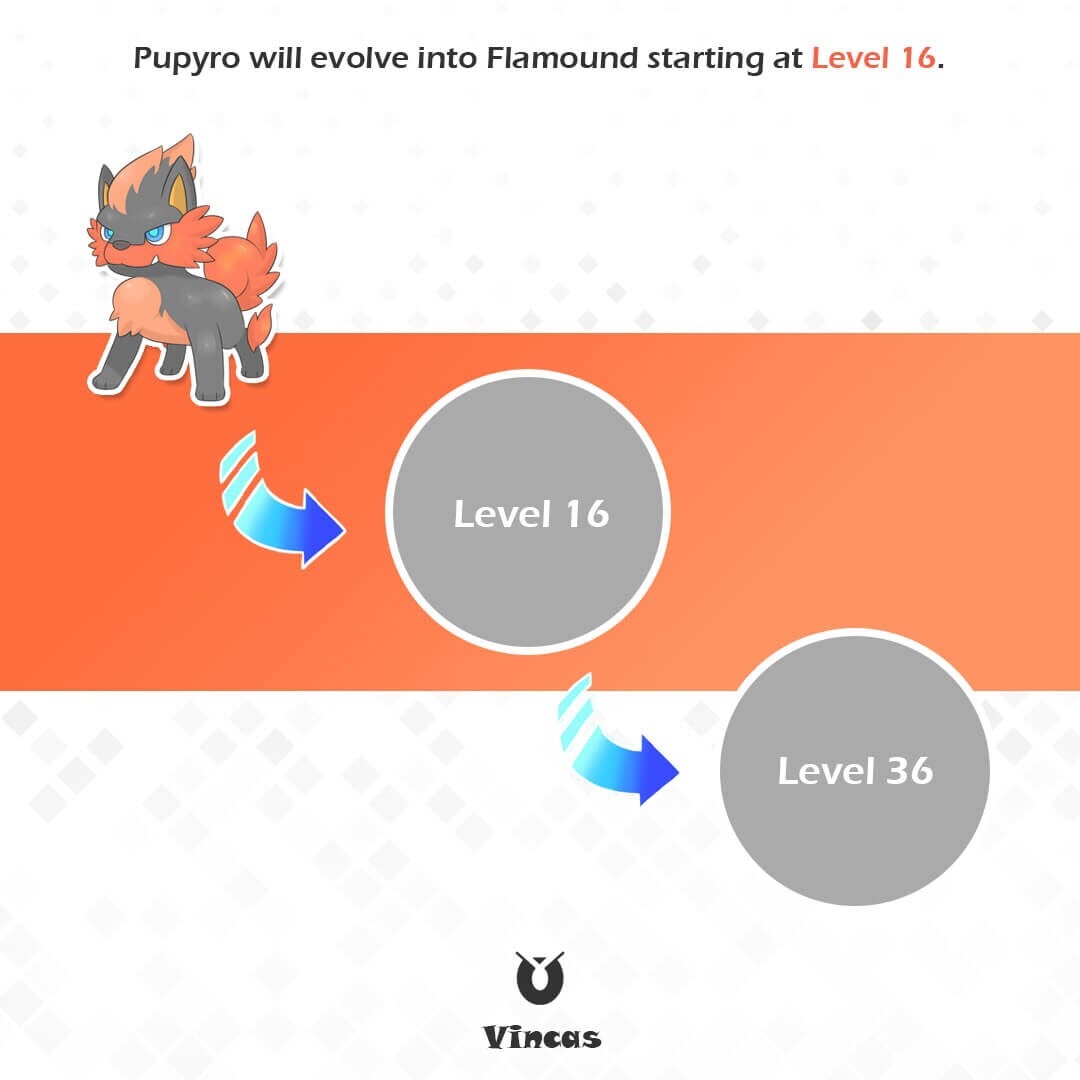 what level does litleo evolve