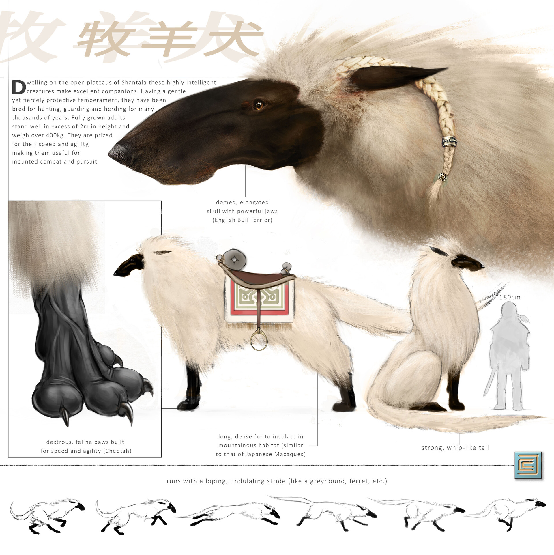 ArtStation - Sheepdog character sheet