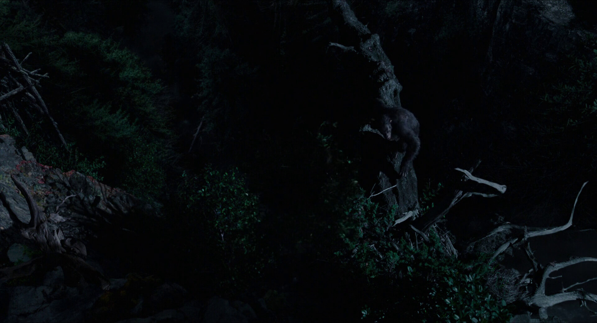 Jean-Baptiste Verdier - Dawn of the Planet of the Apes