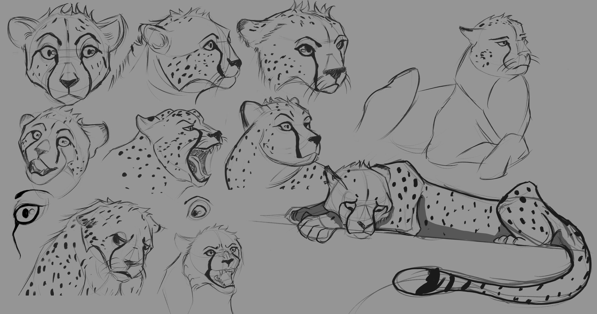 ArtStation - Cheetah's Roar character rough designs