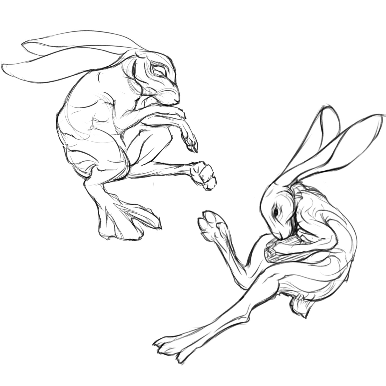 jumping rabbit outline