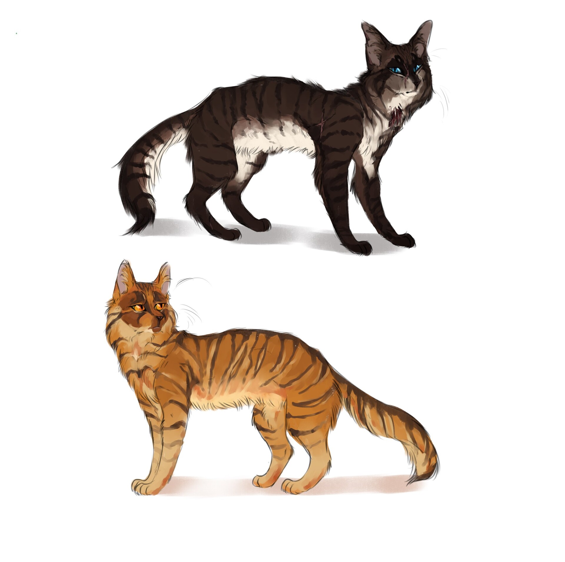 ArtStation - Warriors Cats Designs