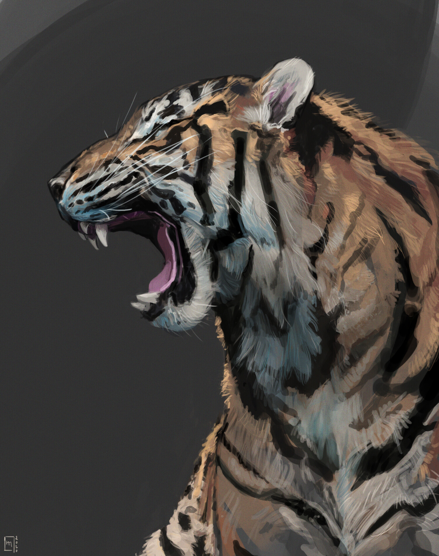 ArtStation - Tiger sketch