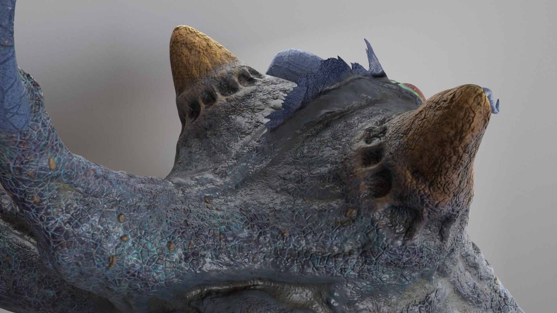 Edgar Le Guyader - E.T Shark