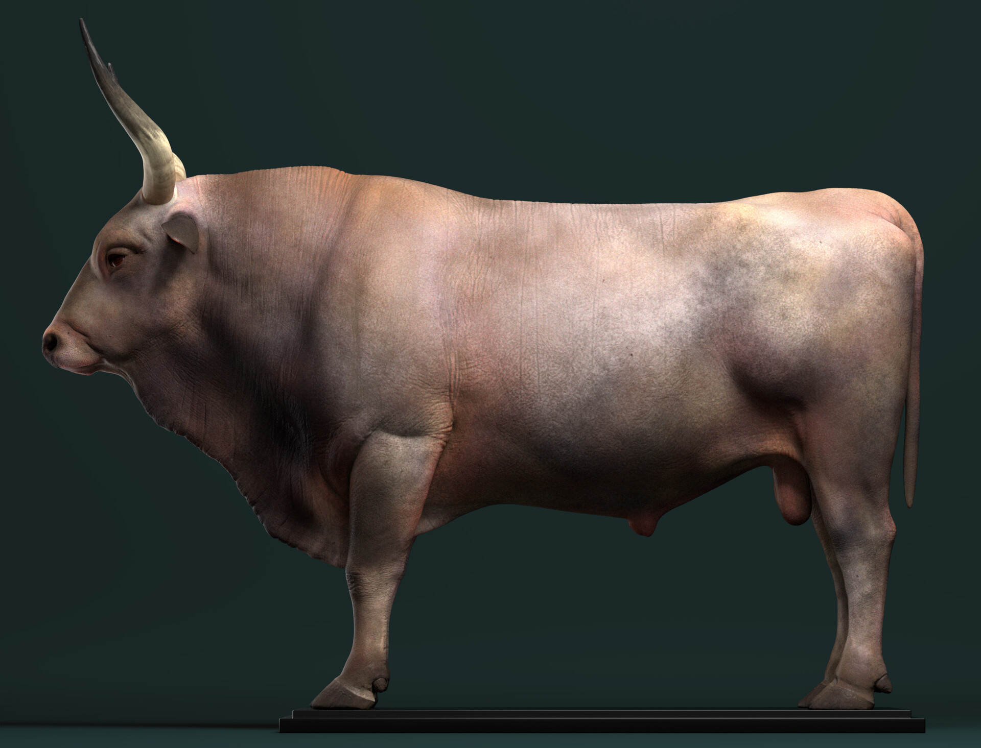 Jess O'Neill - Freelance Creature Artist - Ruminant Anatomy for 3D ...