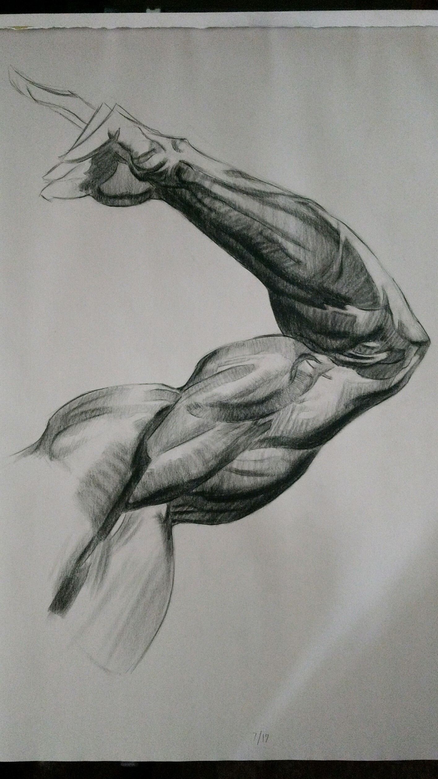 ArtStation - Anatomy Studies 1