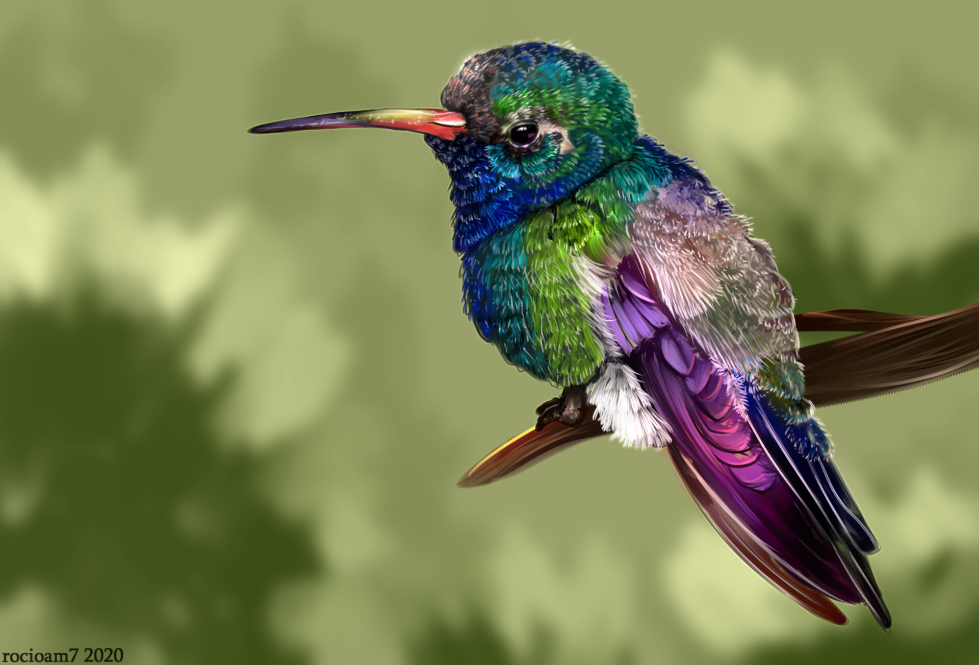 ArtStation - Hummingbird~