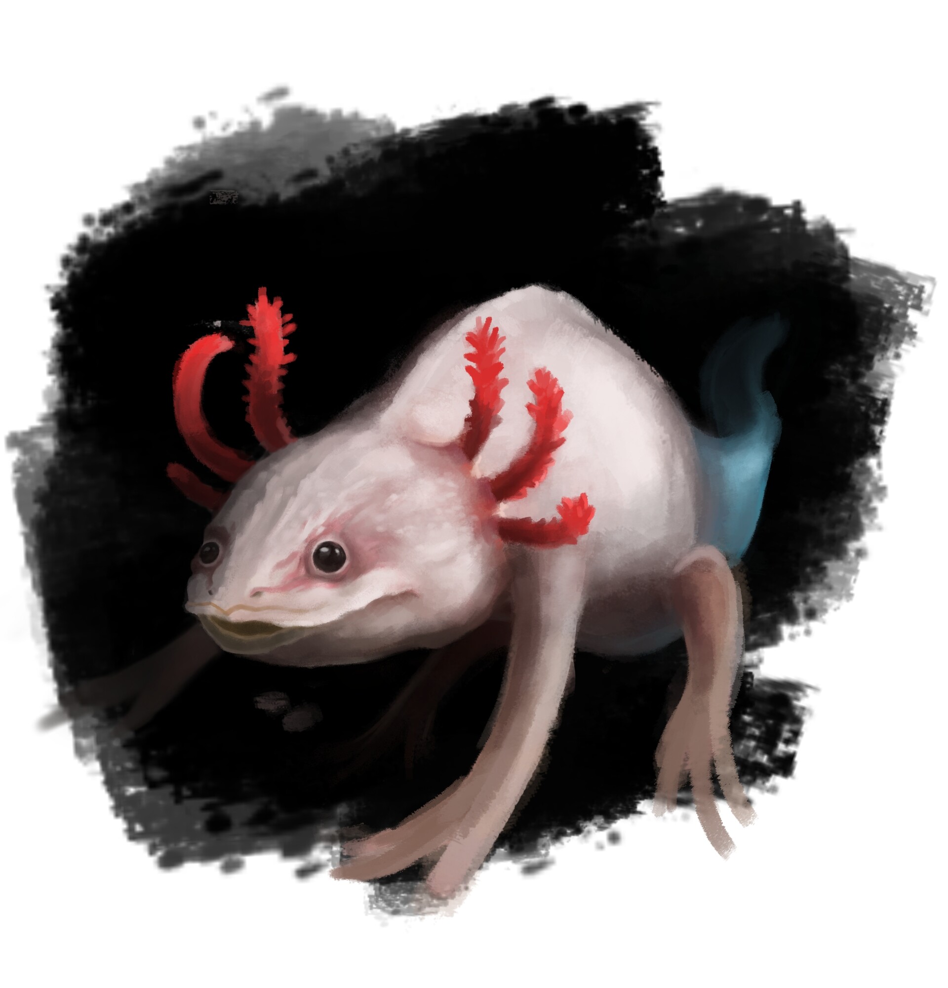 ArtStation - Salamander