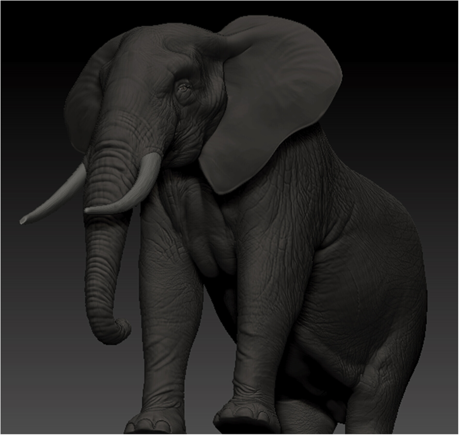 ArtStation - Elephant
