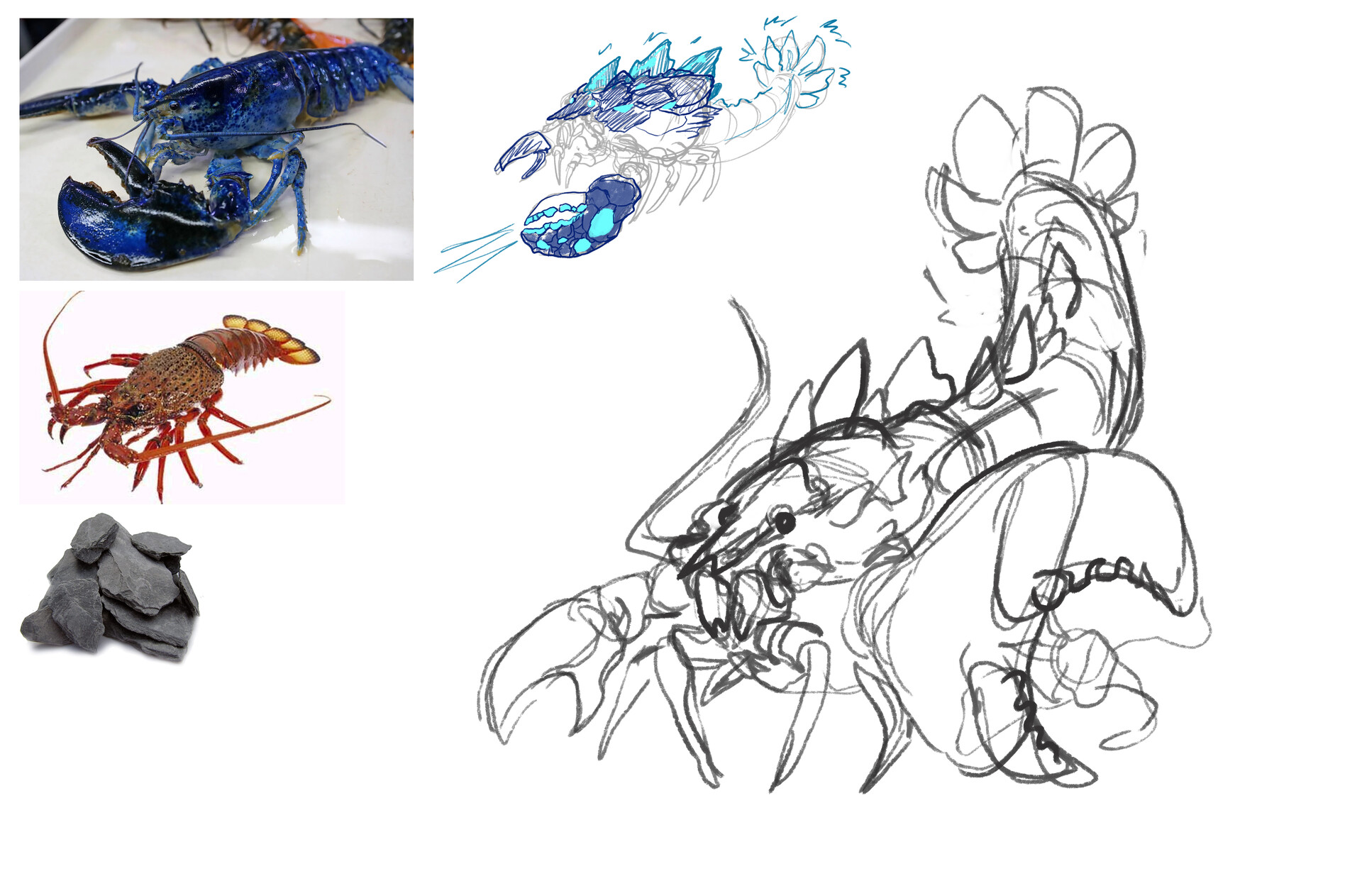 how to draw a rock lobster