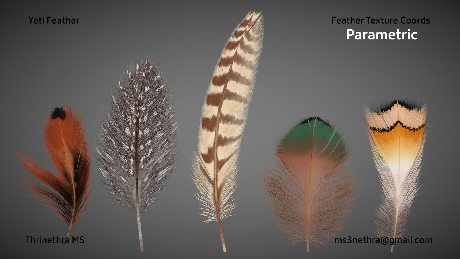 thrinethra ms - Yeti Feathers | Texture Coords | Maya