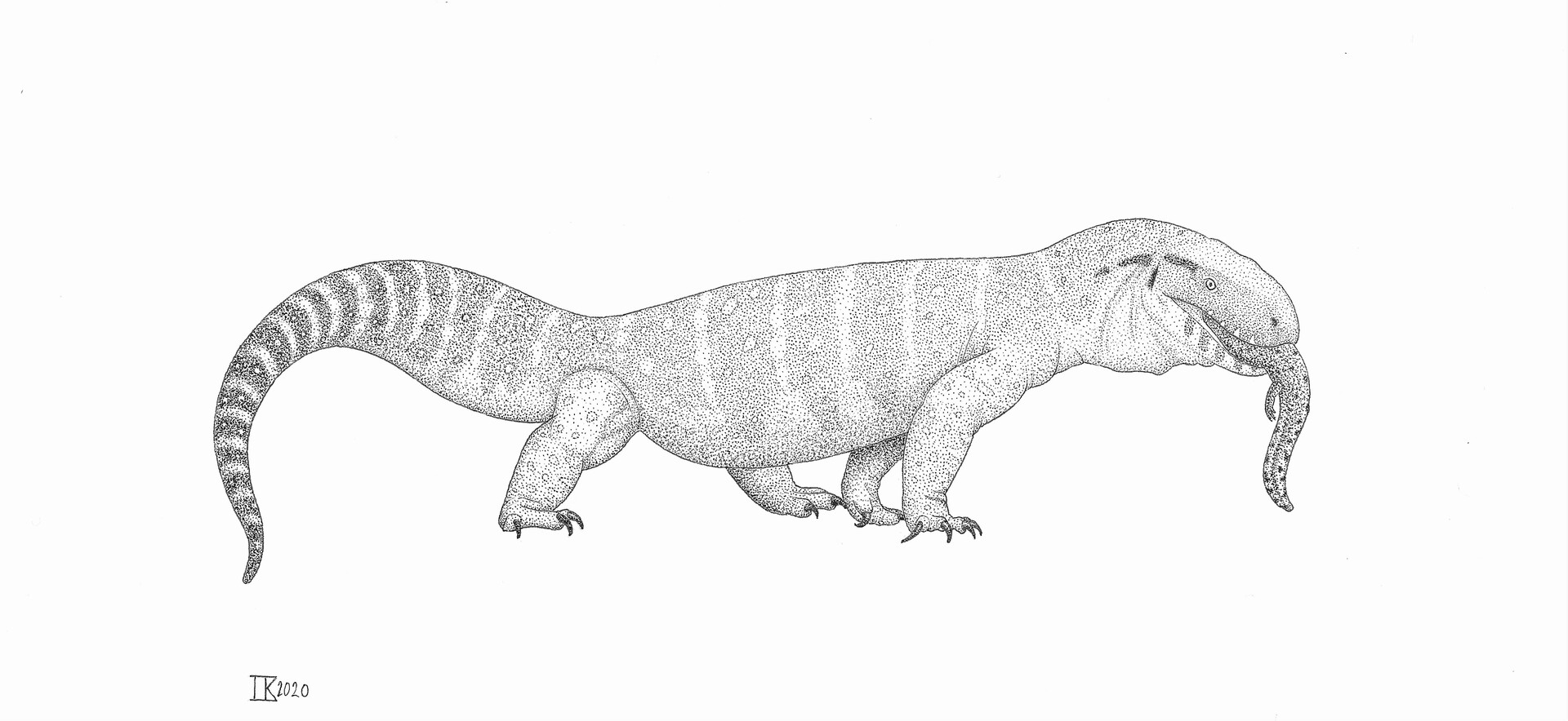 ArtStation - Palaeosaniwa