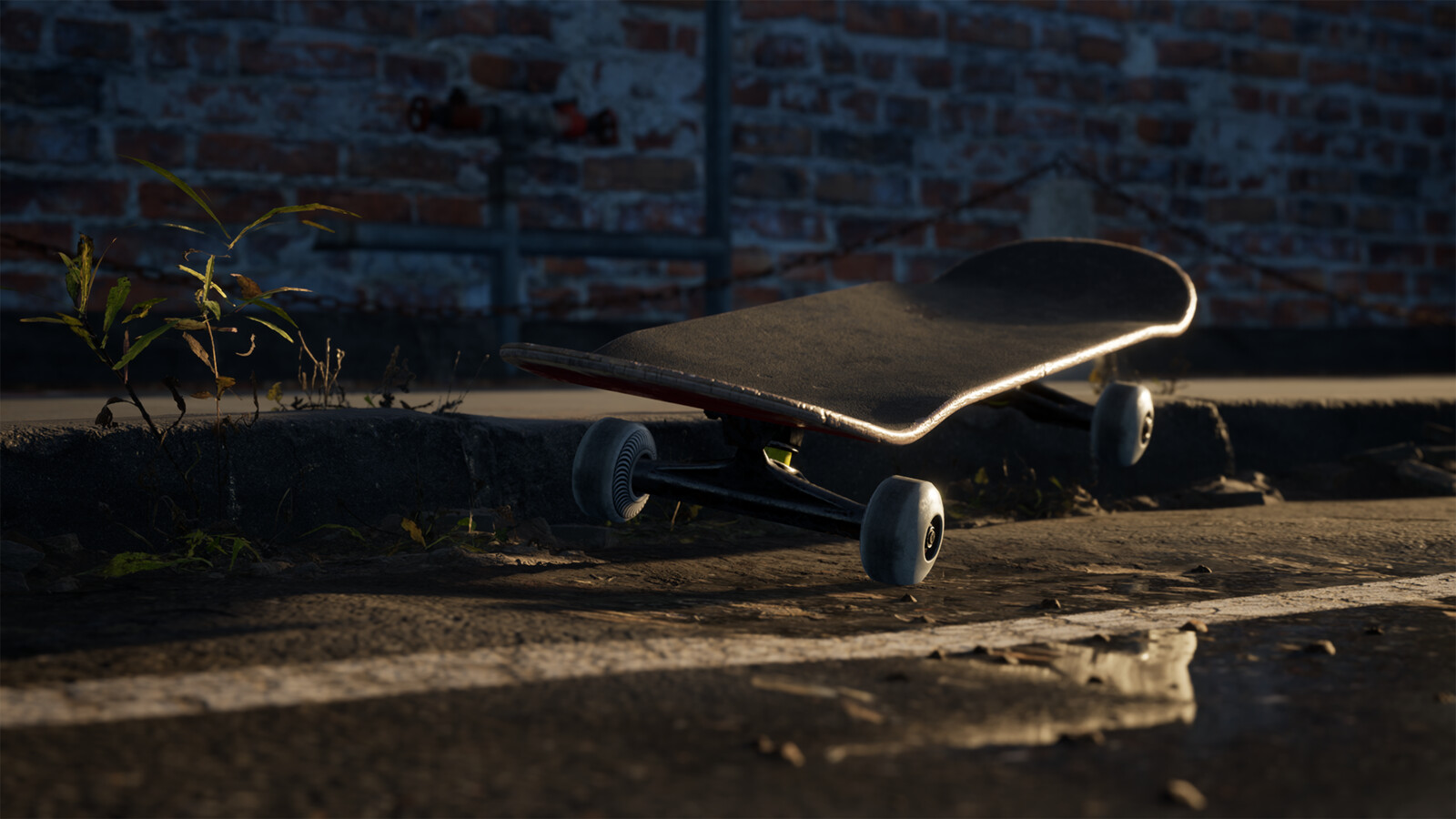 Richard Court - Skateboard