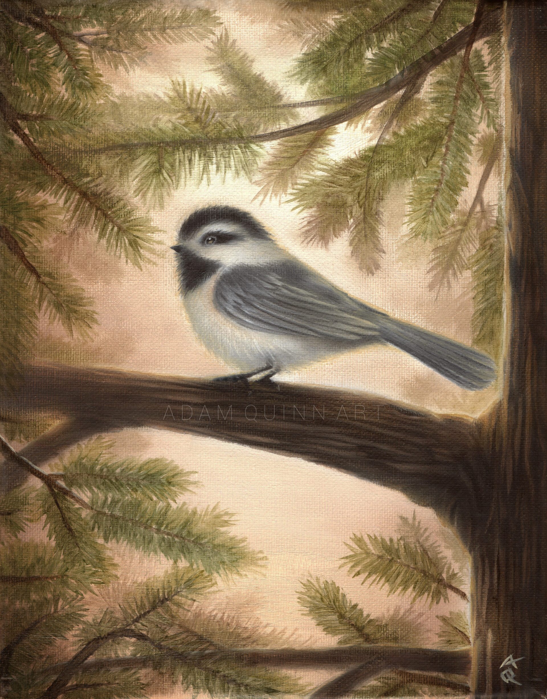 ArtStation - Chickadee