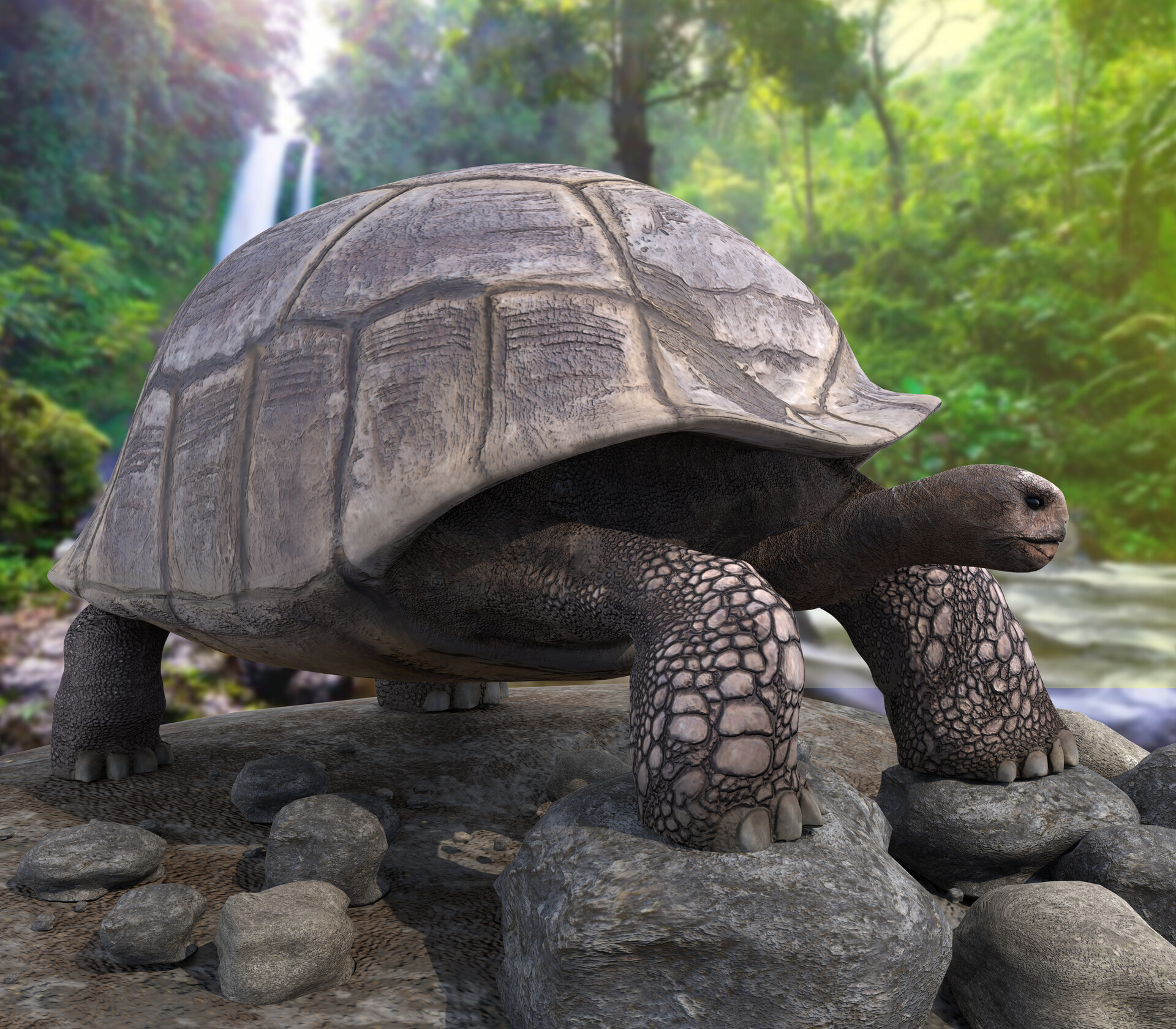 ArtStation - Tortoise