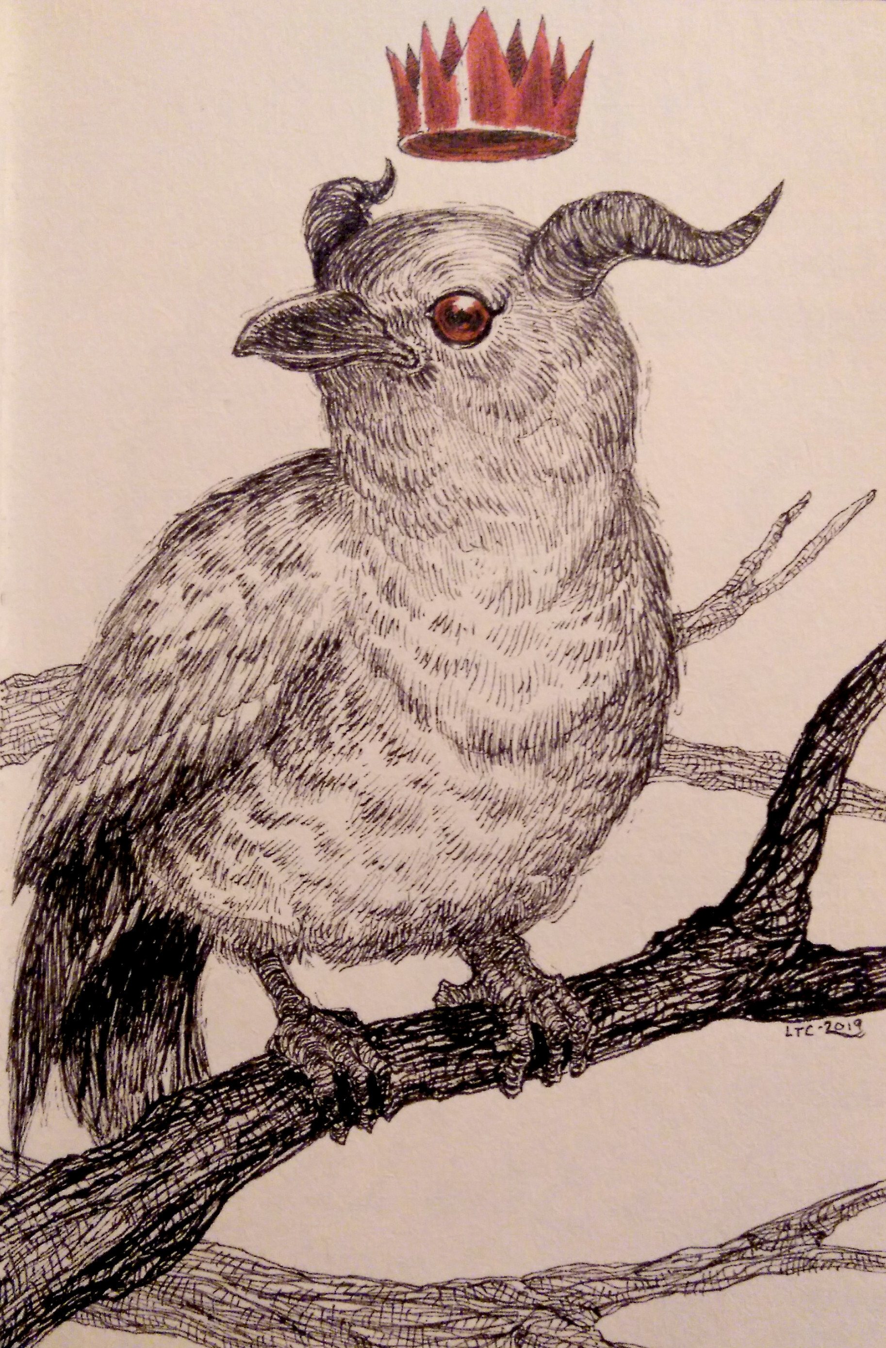 ArtStation - Devil Bird