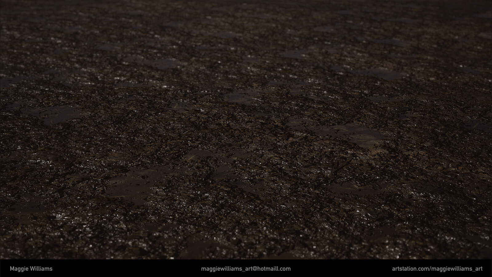 Maggie Williams - Muddy Material