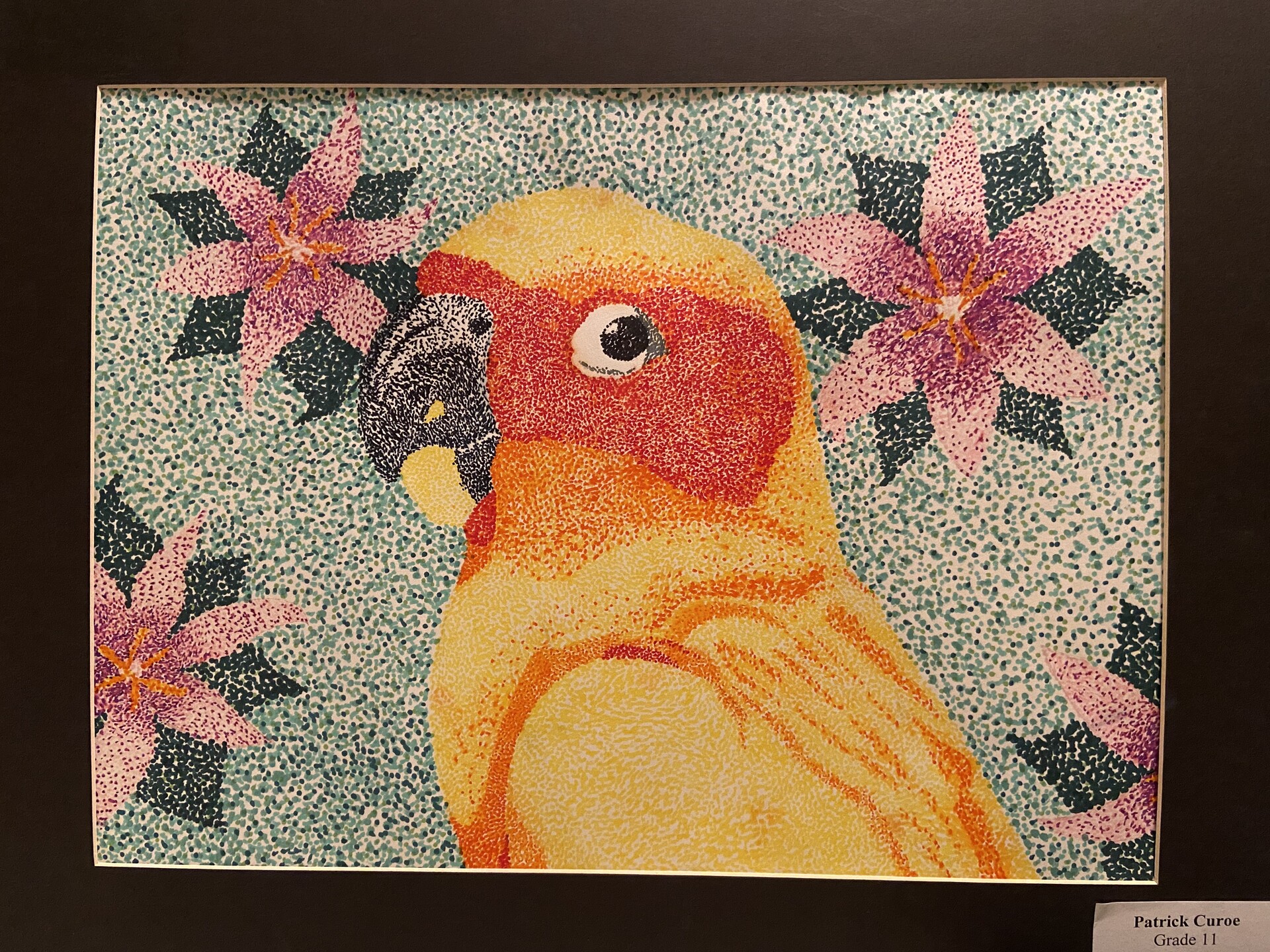 ArtStation - Parrot in Dots