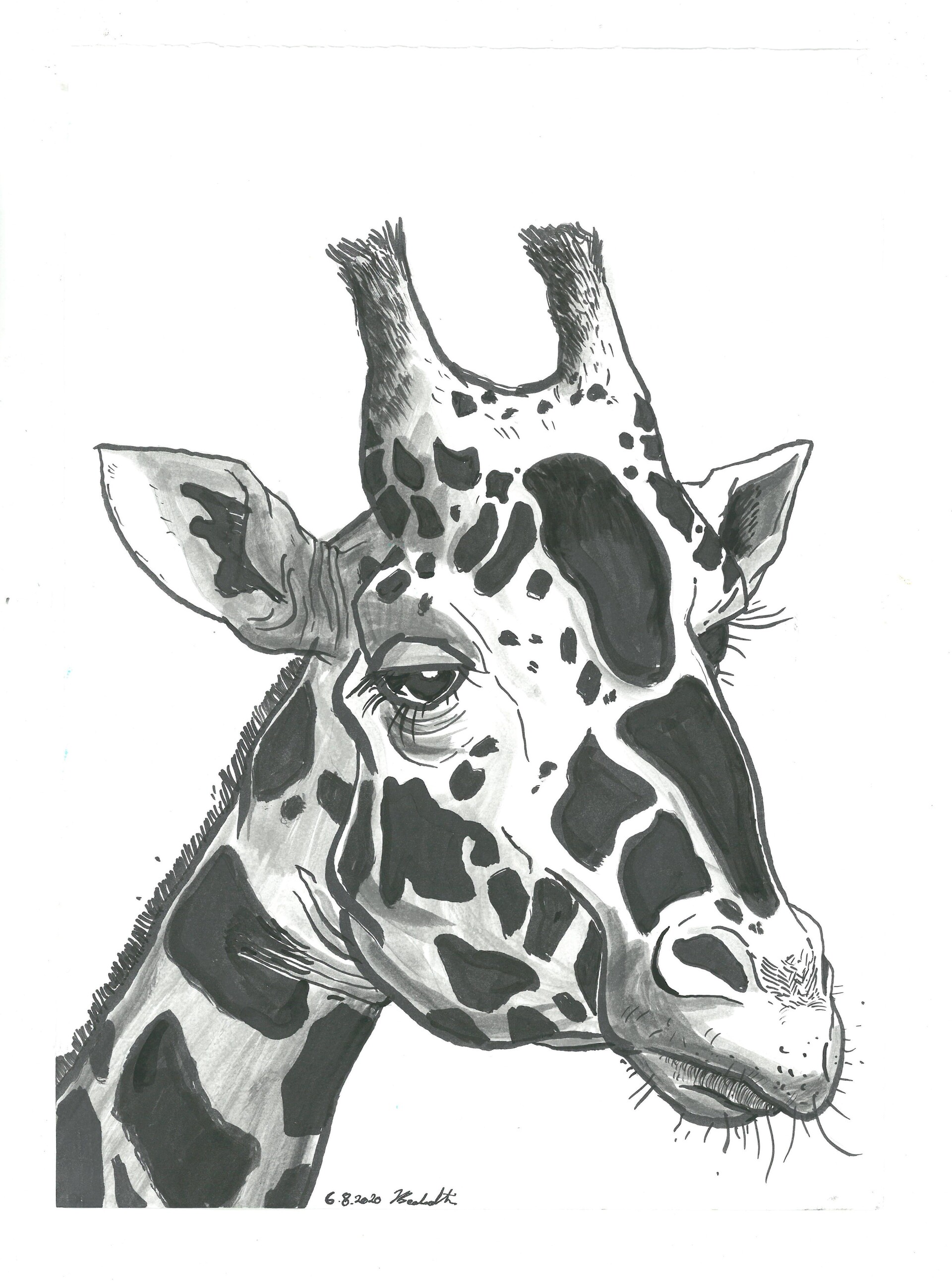 ArtStation - Giraffe