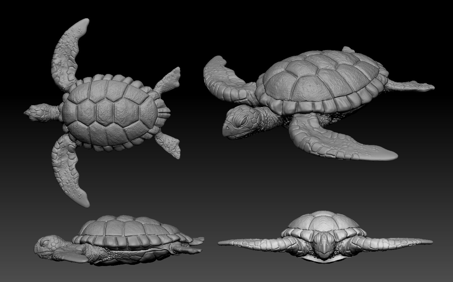 ArtStation - Turtle