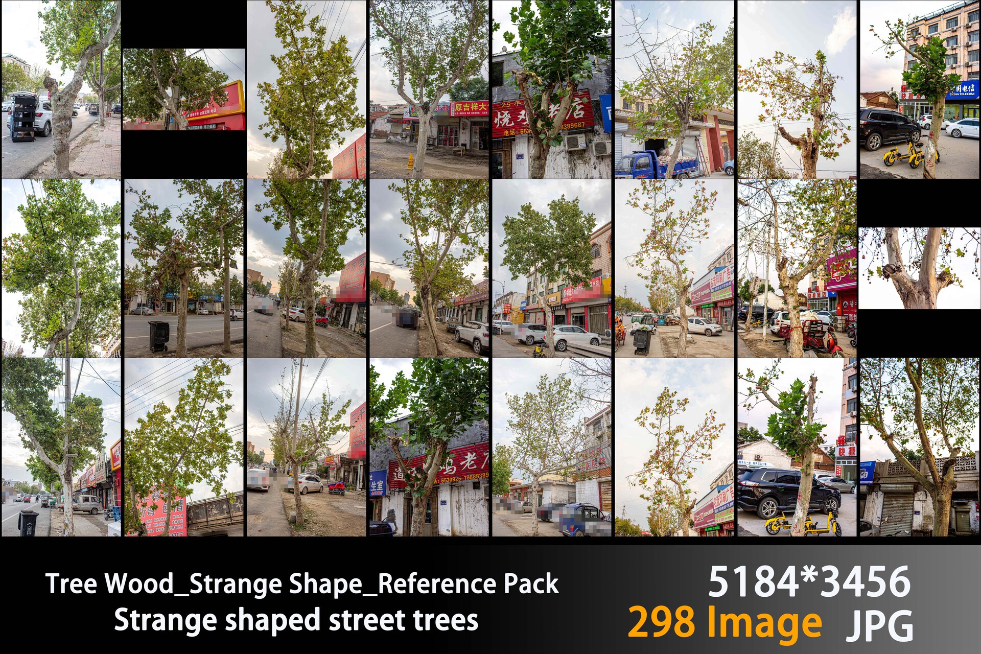 pig jio - Tree Wood_Strange Shape_Reference Pack