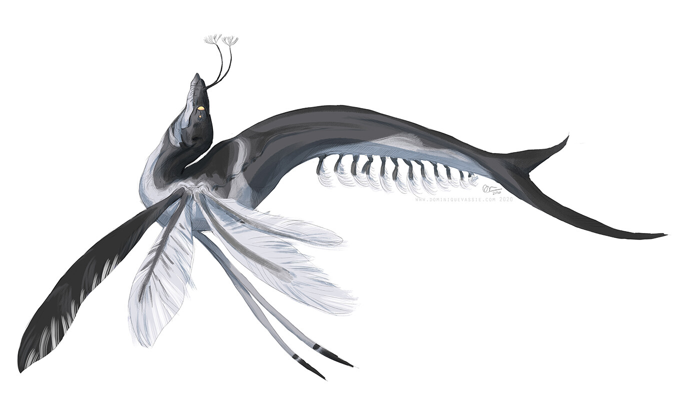 ArtStation - stargazer