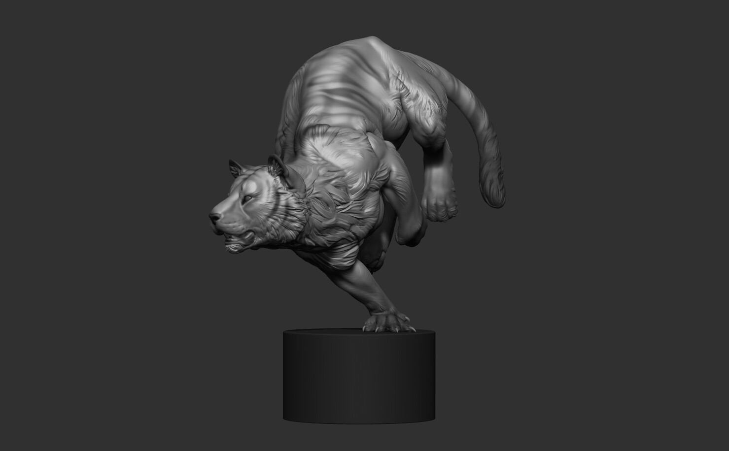 ArtStation - Tiger - Anatomy Study