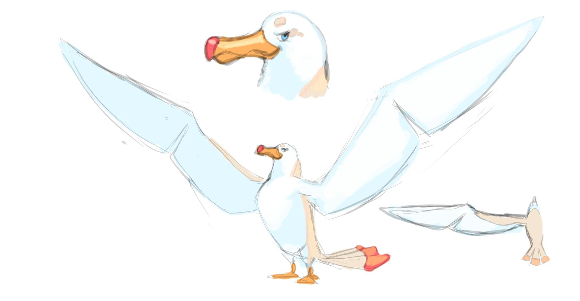 Esa Kotiranta - Ally Bird Concepts