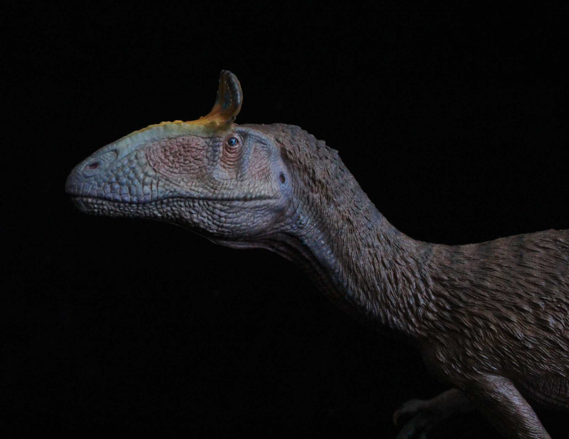 Dinosaur Revolution Cryolophosaurus