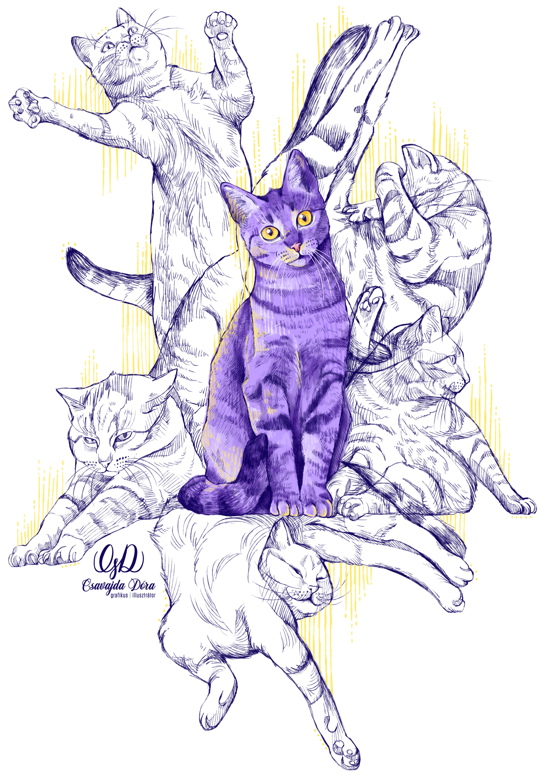 ArtStation - Cat poses | Macska pózok