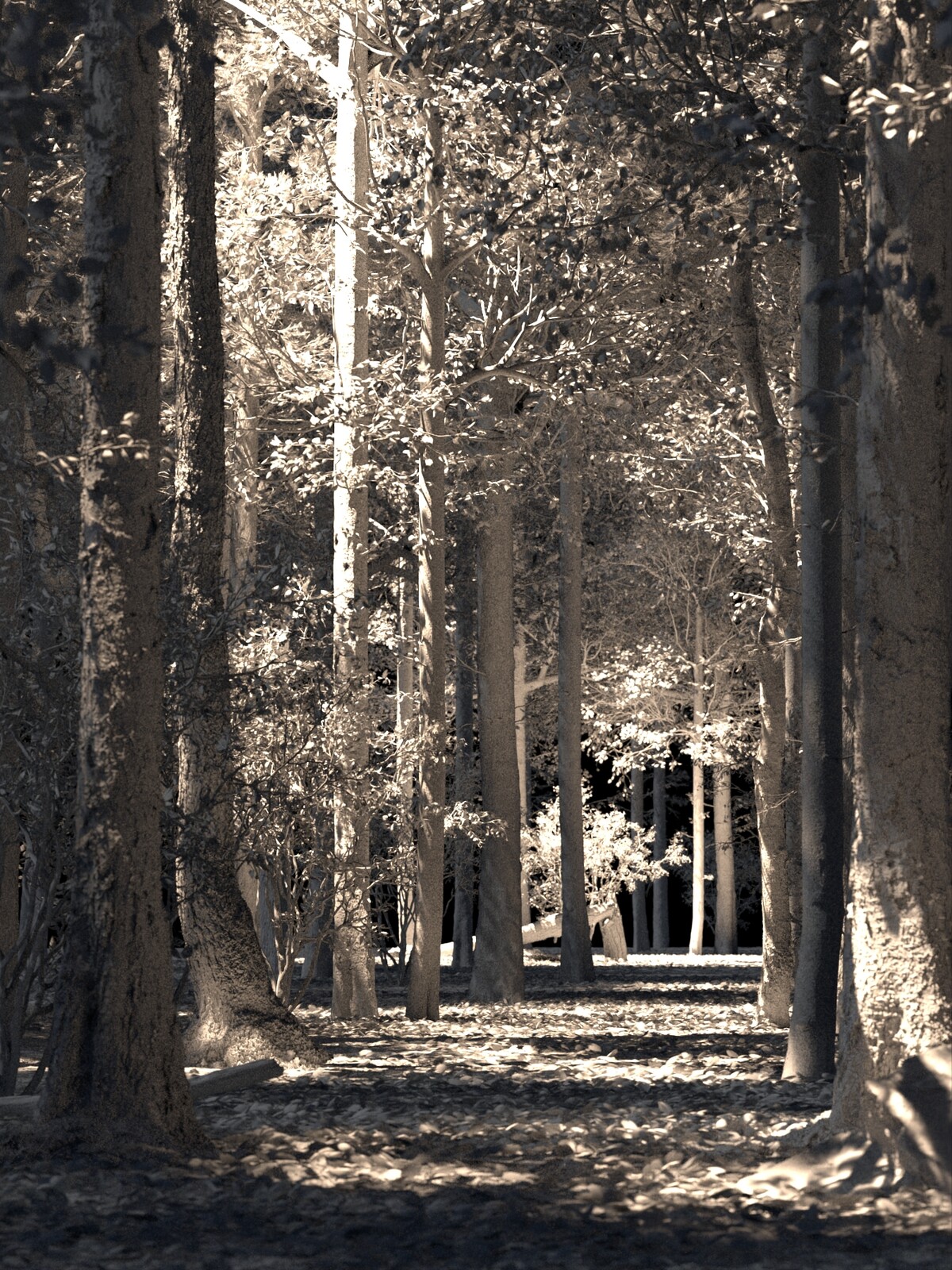 Jeremy Heintz - New Beginnings