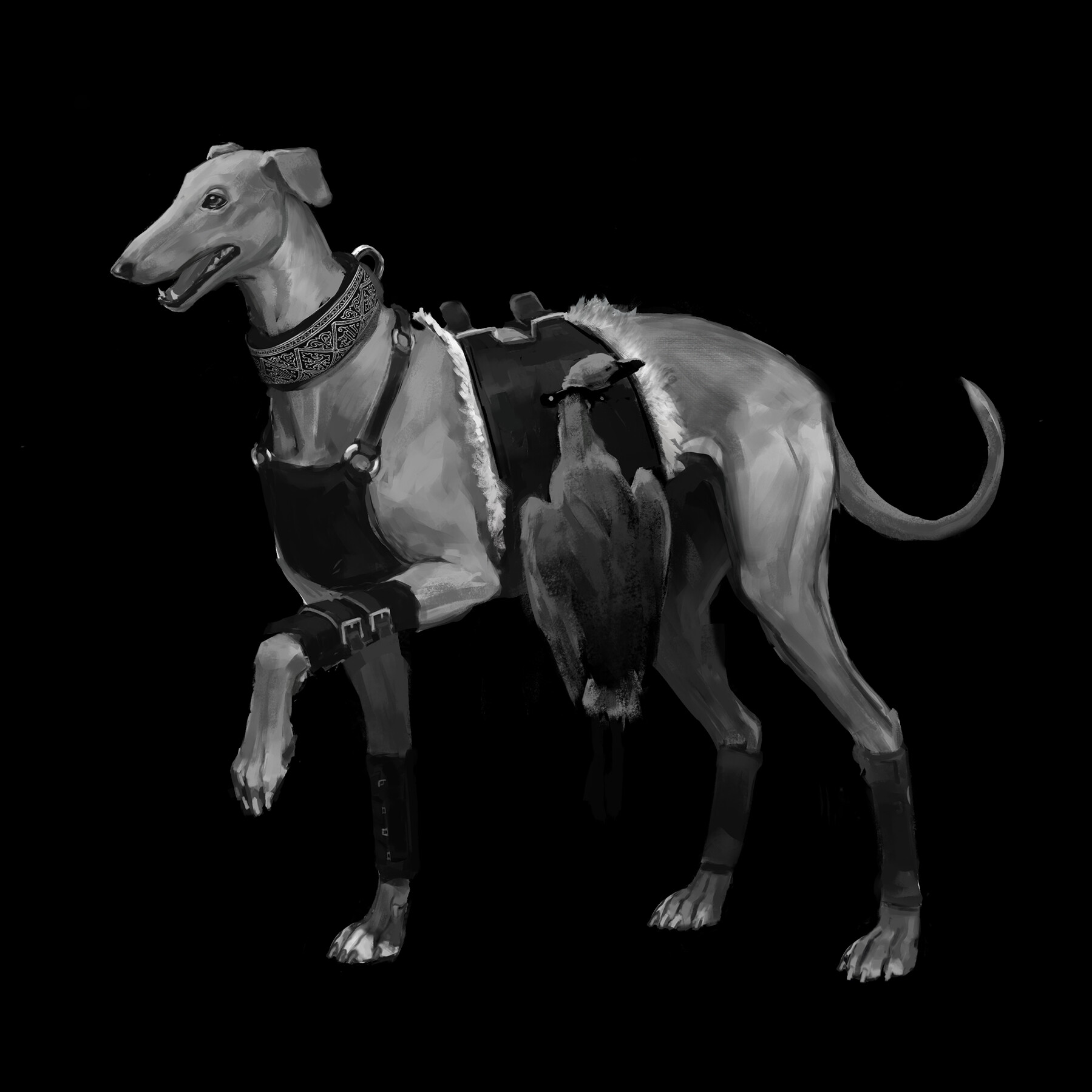 ArtStation - Medieval Service Dogs | Character design