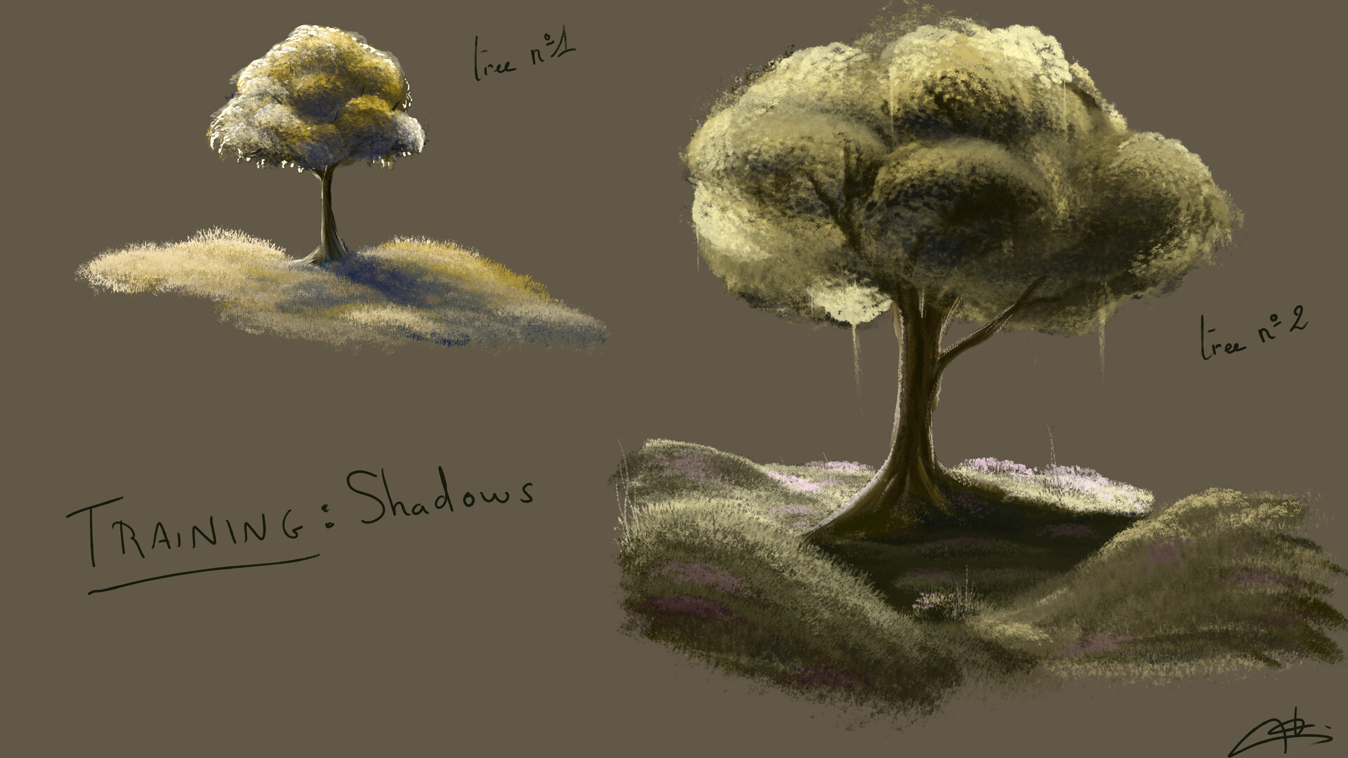 ArtStation - Study - Tree 01