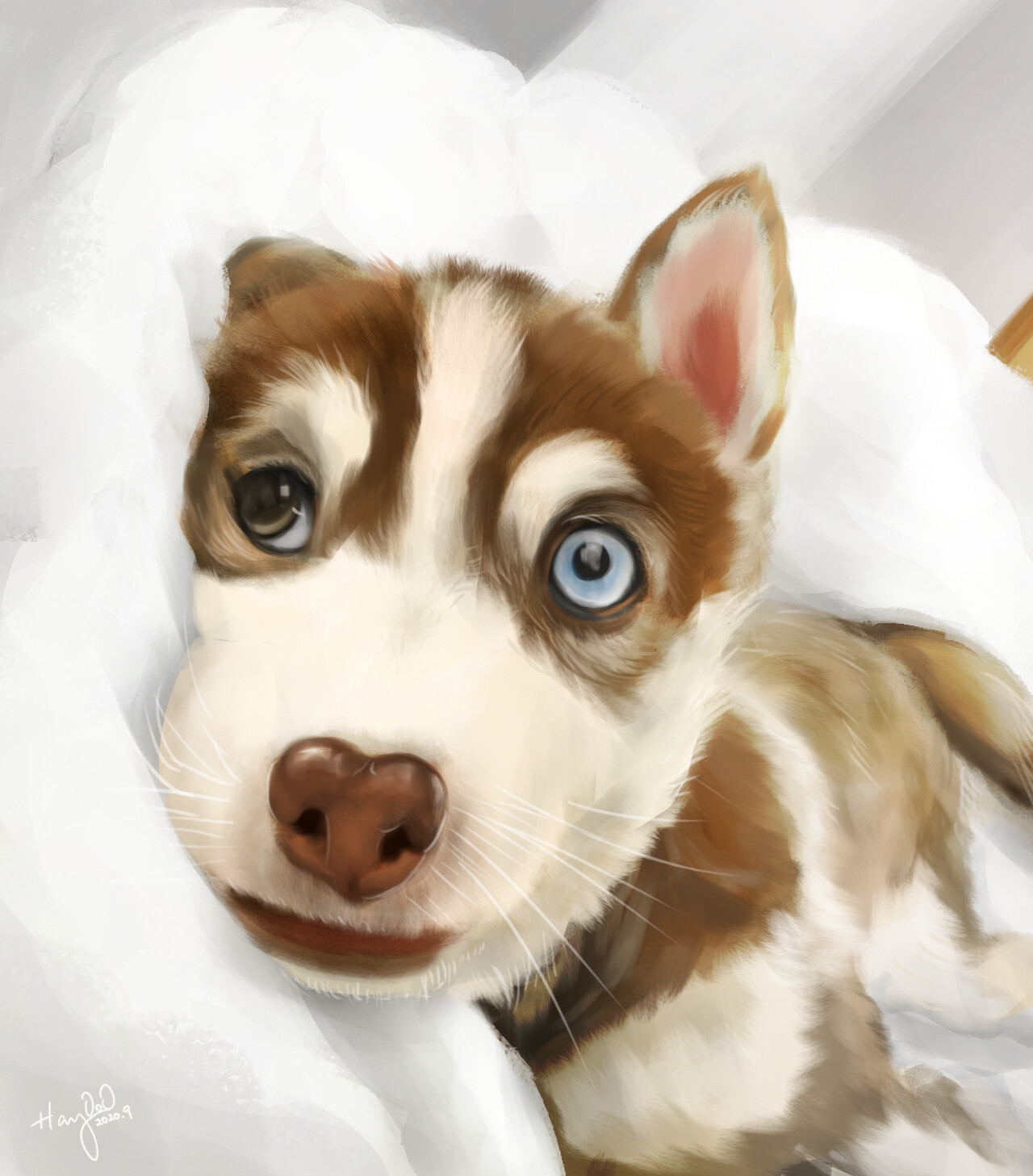 ArtStation - Husky - Photo study