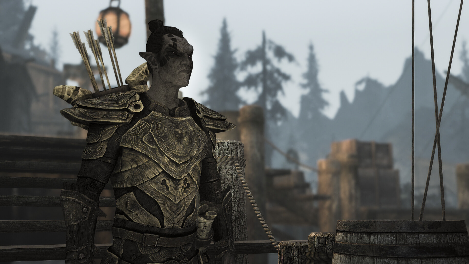 Skyrim Dragonborn Chitin Armor