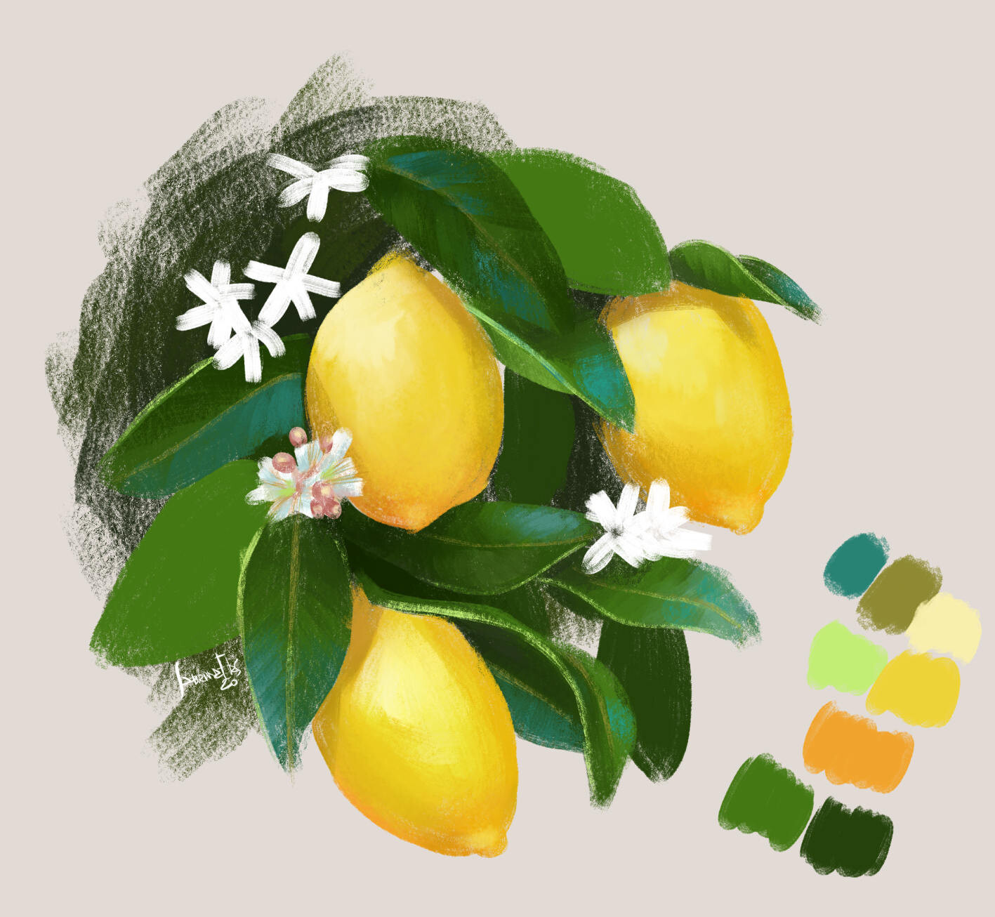 ArtStation - Lemon - study