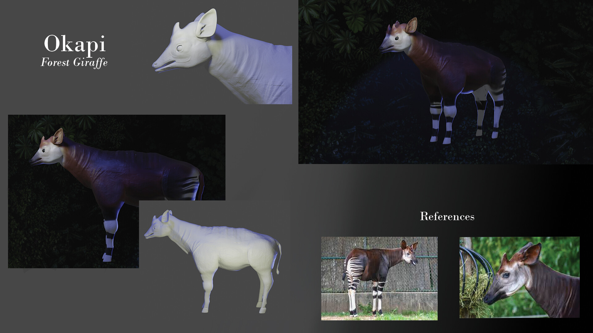 ArtStation - Okapi (Forest Giraffe)