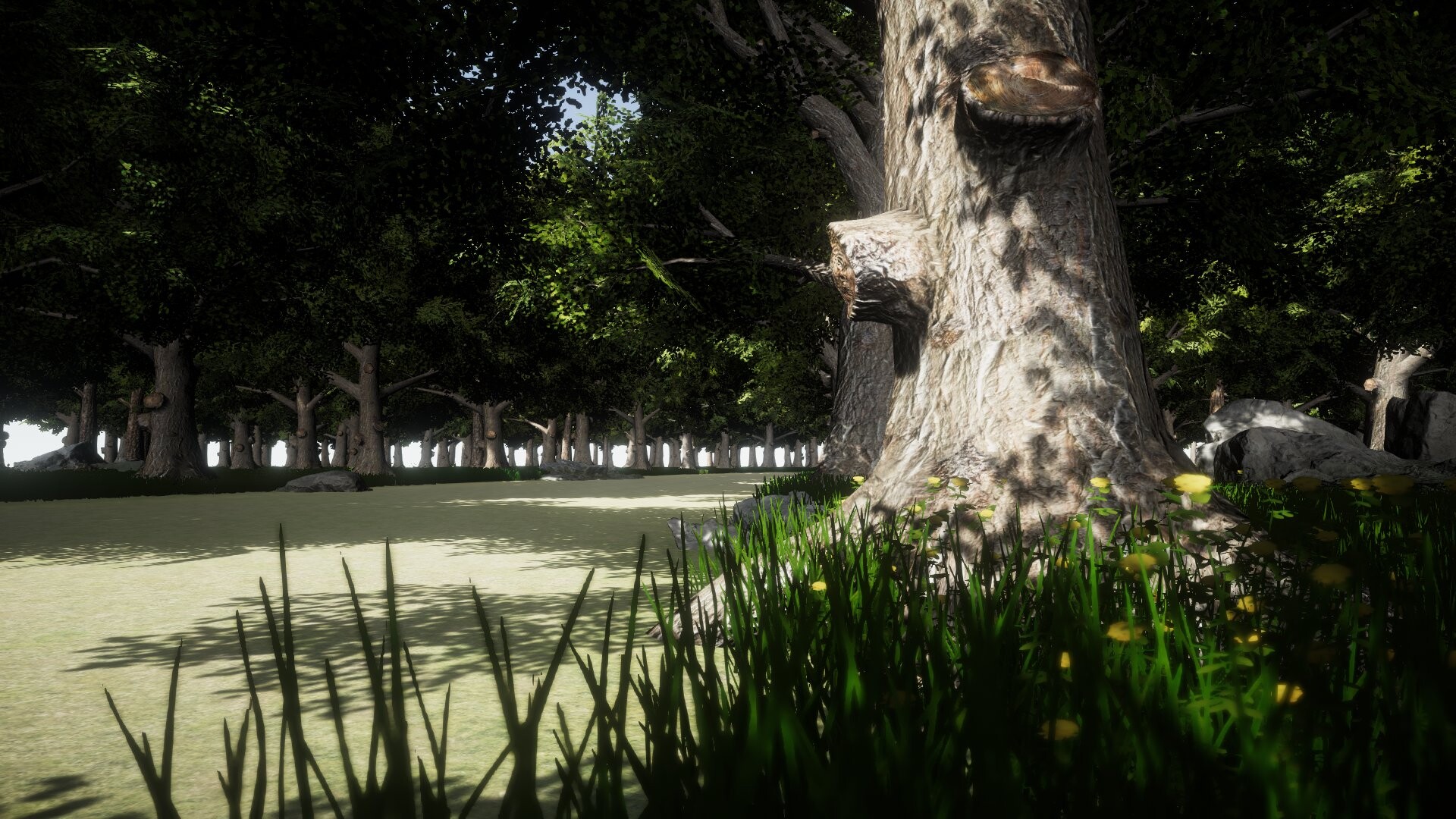 ArtStation - Forest path