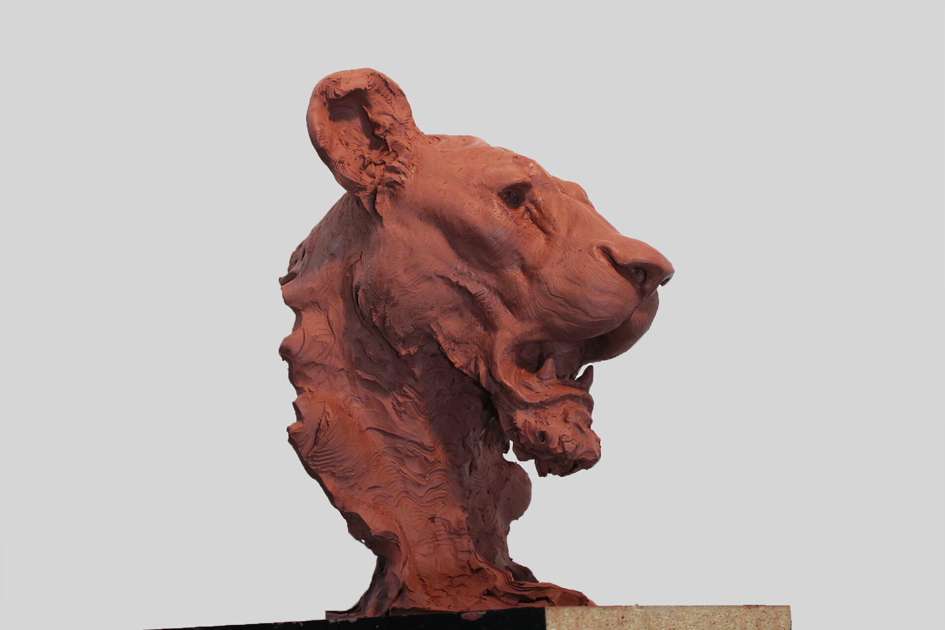 Greg Strangis - Lioness Lifesize "Zuri"