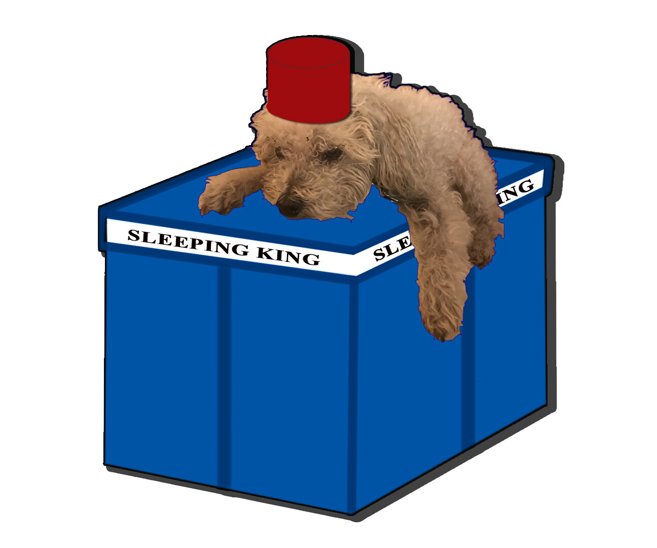 ArtStation - Sleeping Dory